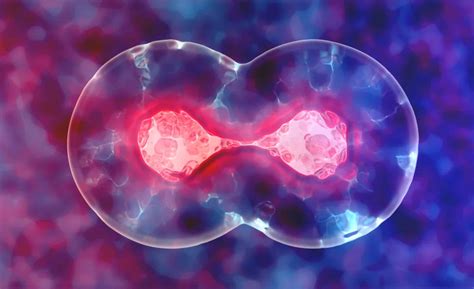 Understanding Arthrosis And Arthritis Key Differences And Treatments