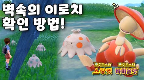 이제 벽안의 녀석도 놓치지마세요 L 포켓몬스터 스칼렛 바이올렛 이로치 잡는 방법 Youtube