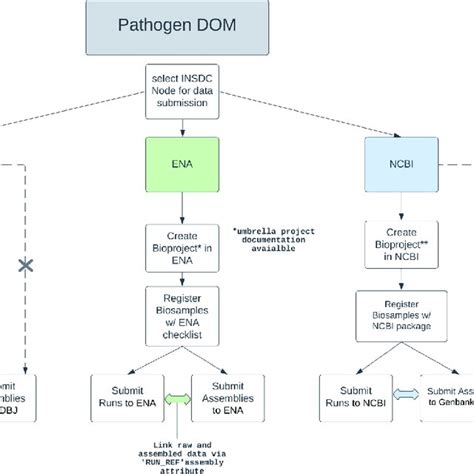 Insdc Data Structure And Main Submission Paths For Each Repository The Download Scientific