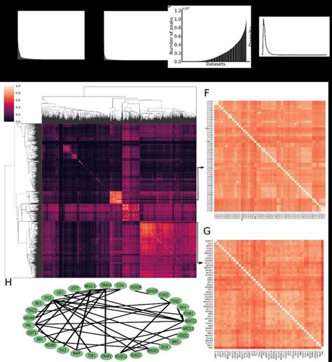 Properties Of The Datasets A Number Of Datasets Collected In Each