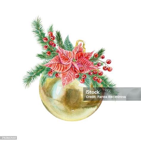 포인세티아 전나무 가지 열매와 크리스마스 황금 공 흰색에 고립 된 수채화 그림입니다 크리스마스 새해 카드 초대장 라벨 0명에