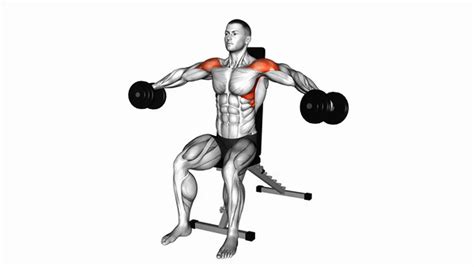 Dumbbell Seated Lateral Raise Exercise Guide How To Muscles Worked
