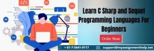 Learn C # and Sequel Programming Languages For Beginners