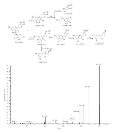 The Fragment Ion Spectra And Proposed Fragmentation Pathways Of Download Scientific Diagram