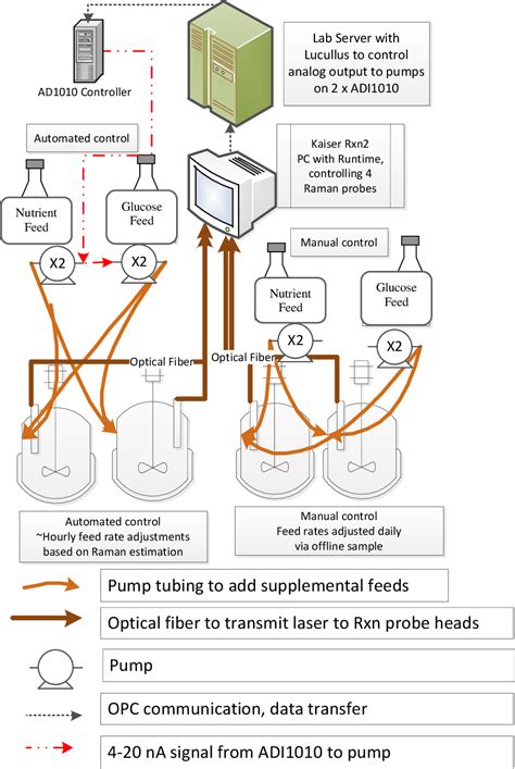 Figure 1 From Feedback Control Of Fed Batch Cultures Using Raman Spectroscopy For Metabolite