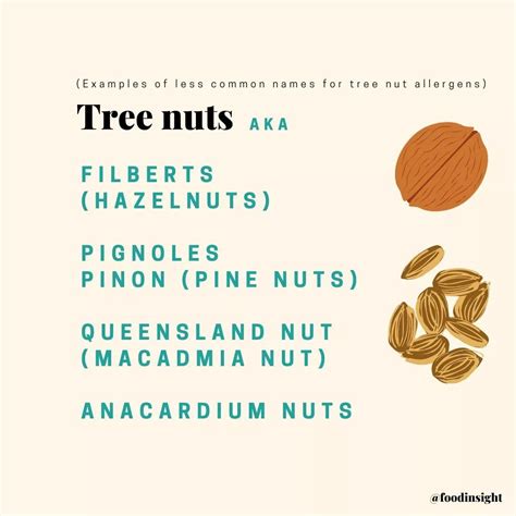 What Are Examples Of Tree Nuts Chrissy Kohler