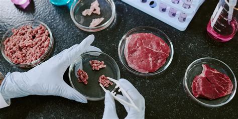 What Is Lab Grown Meat A Comprehensive Scientific Guide