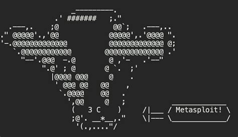 HackingDNA Exploit VSFTPD 2 0 8