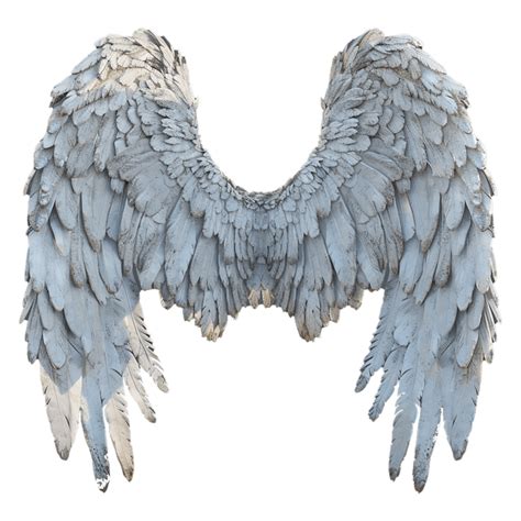Angle Wings Pngs For Free Download