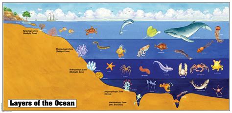 Ocean Stratification