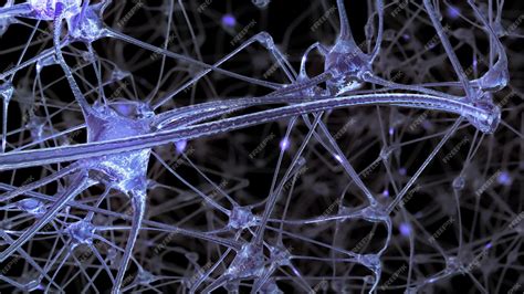 Premium Photo 3d Rendering Of A Network Of Neuron Cells And Synapses