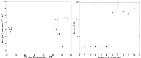 On The Left Hand Side Scores Plot From Samples In Two First Principal