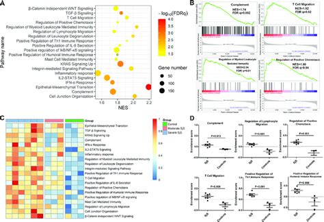 Crucial Functional Pathways Involved Glandular Injuries Of Patients