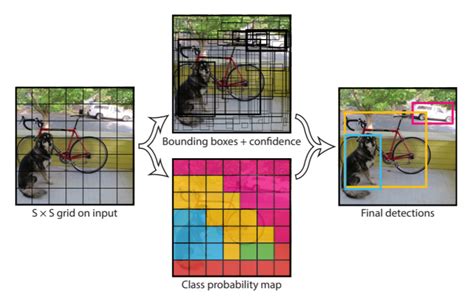 Object Detection And Semantic Segmentation