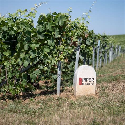 Nicholas Cerbone Posted On Linkedin