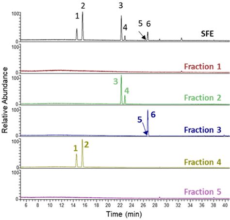 Lc Ms Total Ms Chromatogram Of The Detected Stls In The Sfe And The