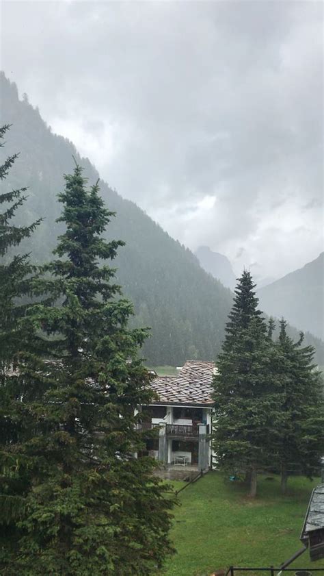 Sleeping Beauty Concept Art Sleeping Beauty Art Disney Concept Art Disney Animation Art