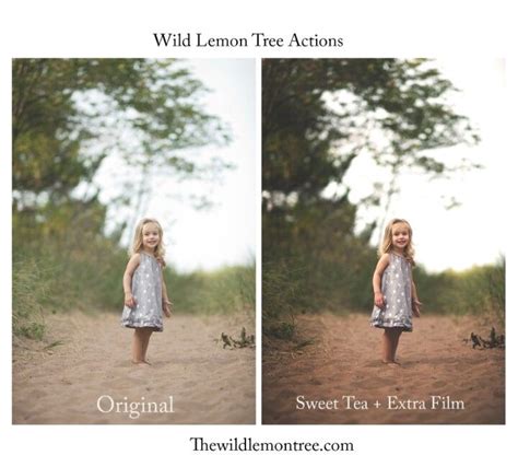 Actions 2 Easy Awesome Photoshop Actions