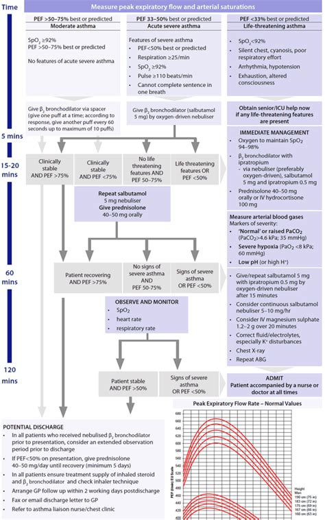 Management Of Acute Asthma Exacerbation In Adults