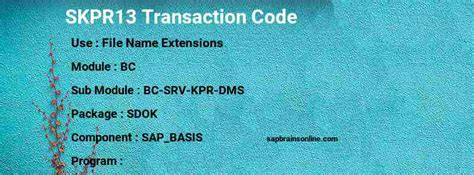 SKPR SAP Tcode For File Name Extensions