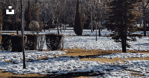 낮에는 벌거 벗은 나무 근처의 흰색과 파란색 콘크리트 건물 사진 Unsplash의 무료 에스키셰히르 이미지