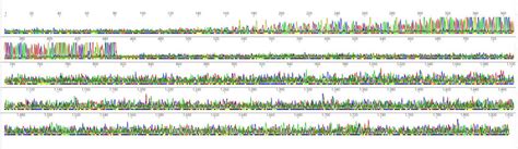 Why Does My Sanger Sequence Start Off Unreadable ResearchGate