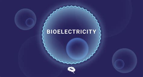 암 치료의 생체 전기