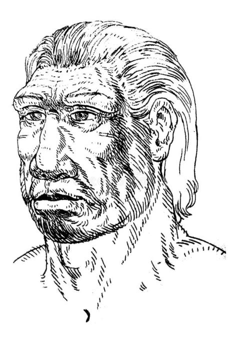 Neandertal Ilustraciones Stock Vectores Y Clipart 80 Ilustraciones