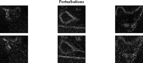 figure 1 from invertible privacy preserving adversarial reconstruction