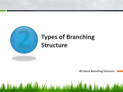 Algorithm And Programming Branching Structure
