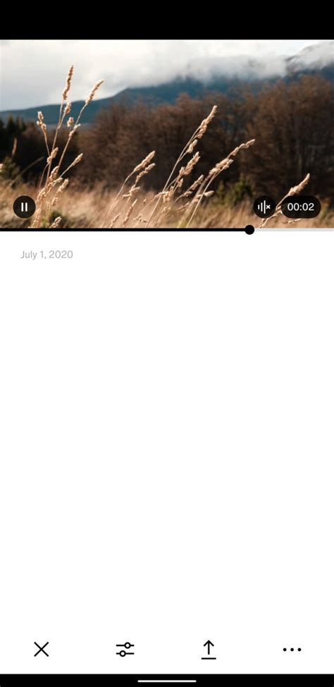 Vsco X Review And Tutorial The Complete Guide