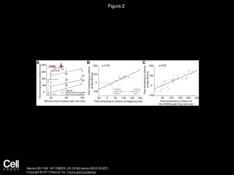 Multiplexing Of Motor Information In The Discharge Of A Collision