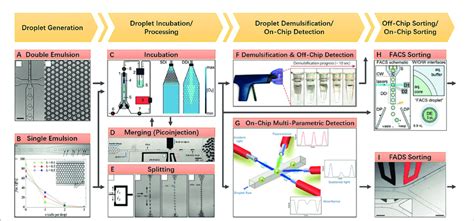 A General Workflow Of Floating Droplet Microfluidics A Generating