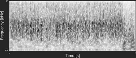 Lossy Compression In Auditory Perception The Center For Brains Minds