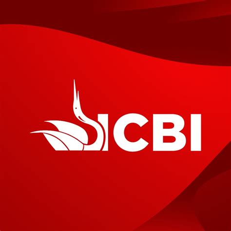 Instituto De Ciencias Básicas E Ingeniería Ciclo De Conferencias De
