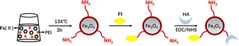 Schematic Representation Of The Synthesis Of Fe3o4 Pei Fi Ha Nps Download Scientific Diagram