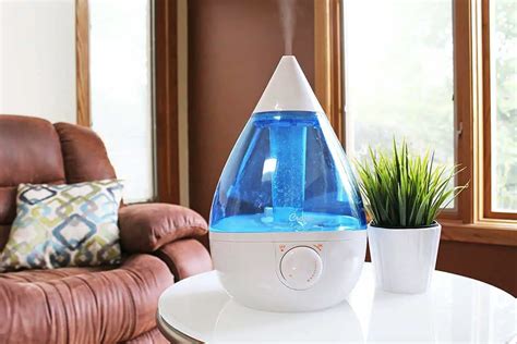 Humidifier Vs Diffuser Which One Is Right For You Pulptastic