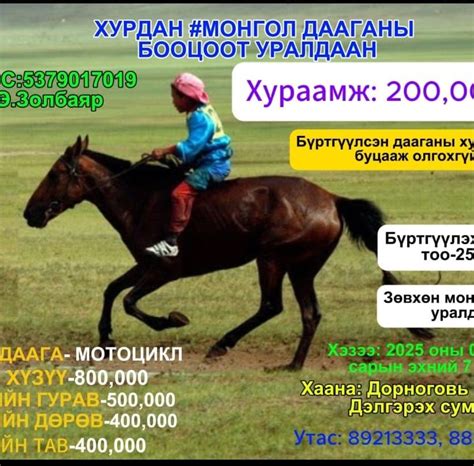 Монгол дааганы уралдаан