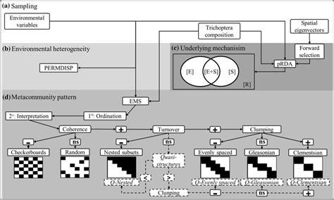 Graphical Structure Showing The Procedures Adopted For Data Analysis