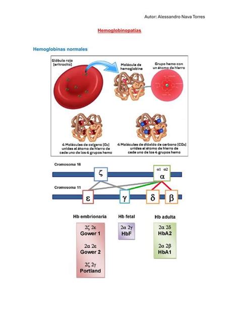 Hemoglobinopatías Alessandro Udocz