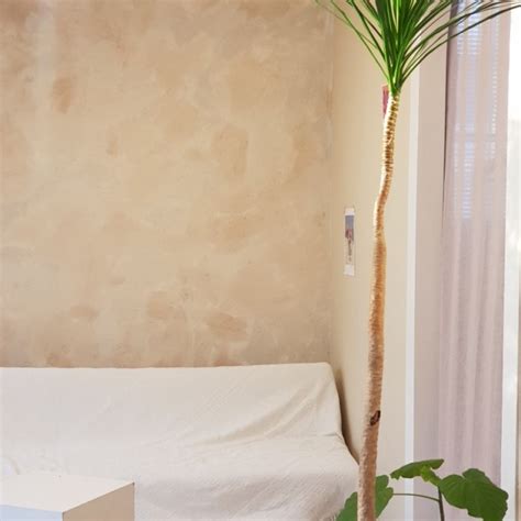 셀프 미장 페인트 셀프 인테리어 드파랑 유럽미장 숨토 네이버 블로그