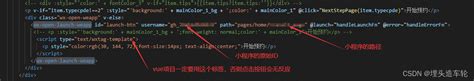 Vue H5跳转小程序 Csdn博客