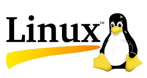 Mohit Chaudhari On Linkedin Day 13 Linux 90daysofdevops