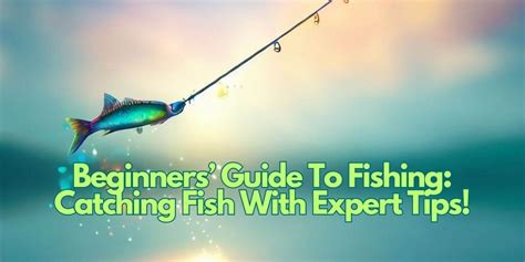 Fish Beginners Guide At Tom Wildes Blog