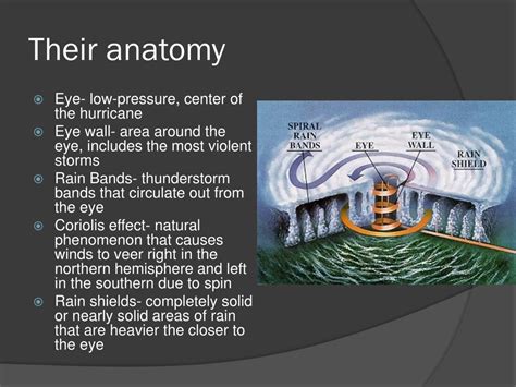 Ppt Understanding Hurricanes Formation Anatomy And Impact