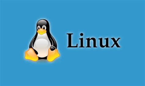 Find Files By Date Linux Renosno