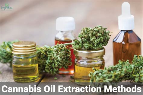 How To Extract Cannabis Oil Cannabis Oil Extraction Methods