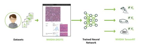 Deploying Deep Neural Networks With Nvidia Tensorrt Nvidia Technical Blog