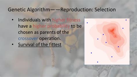 Ppt Evolutionary Computation Powerpoint Presentation Free Download