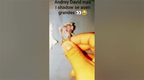 Andrey David Max I Shadow Se Asen Gigantes 👀😂 Youtube